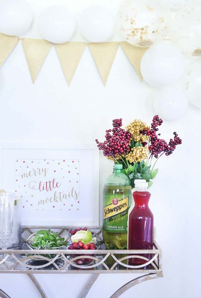 "Merry Little Mocktails" DIY Mocktail Bar