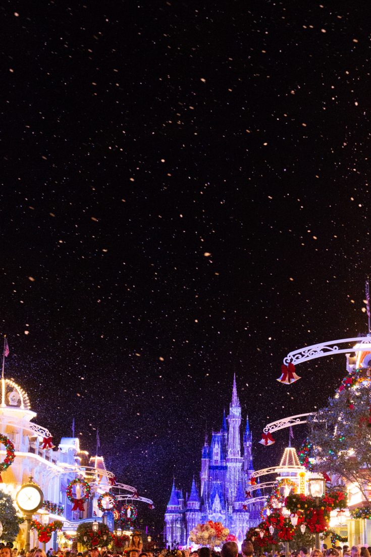 Snow at Magic Kingdom: Everything You Need to Know