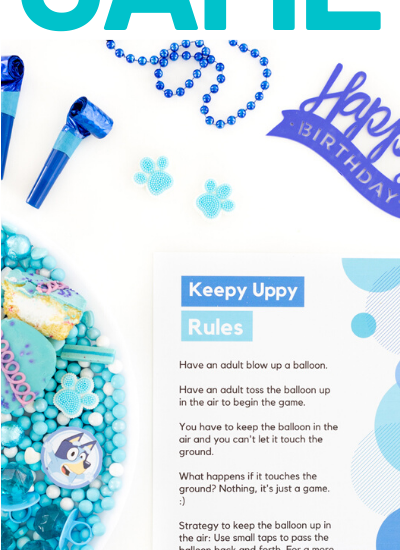 Bluey Party at Home | Cutefetti
