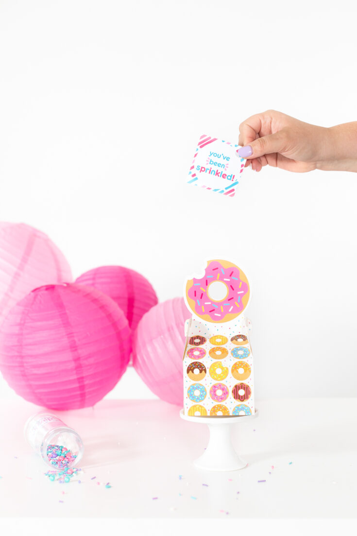 Mini Donut Decorating Kit