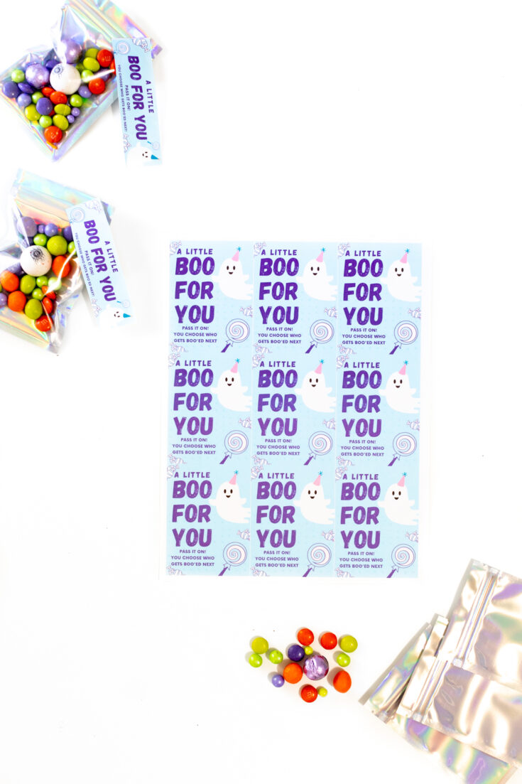 Mini Boo Surprise Gift for Halloween