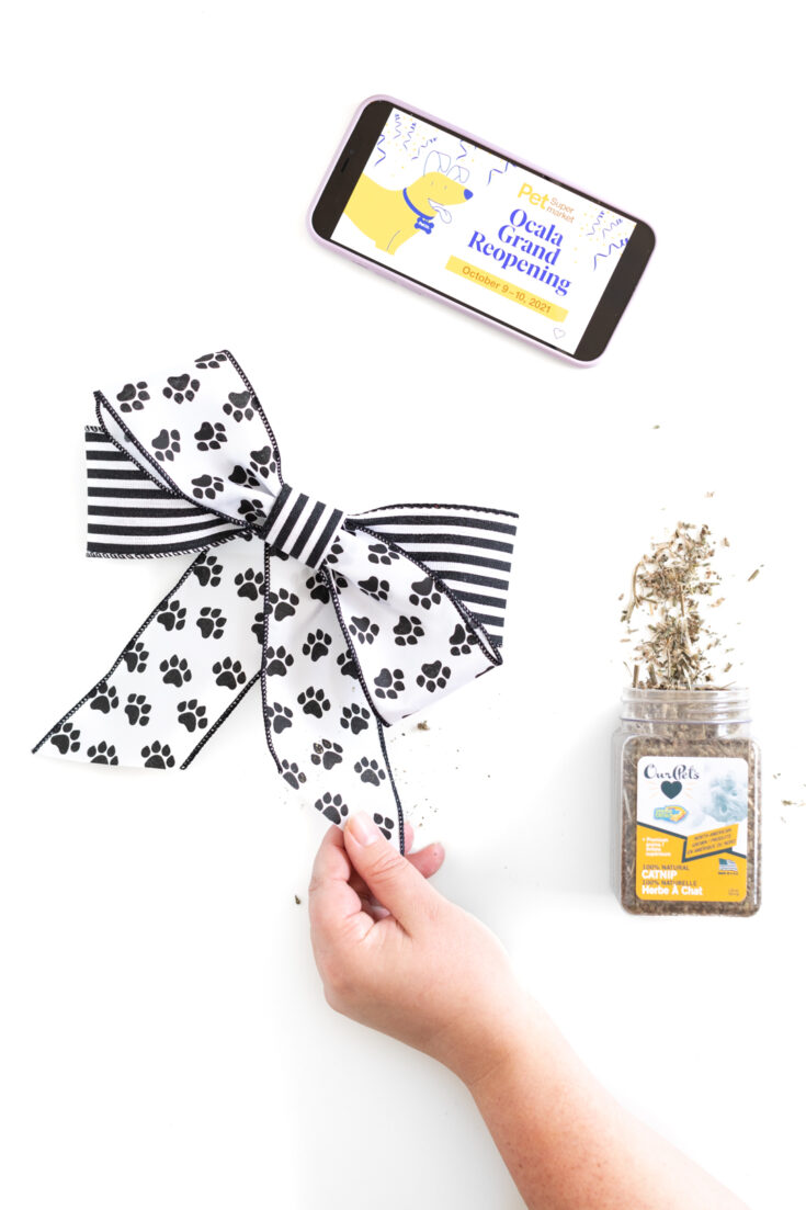 How to Make a Surprise Box for Cats