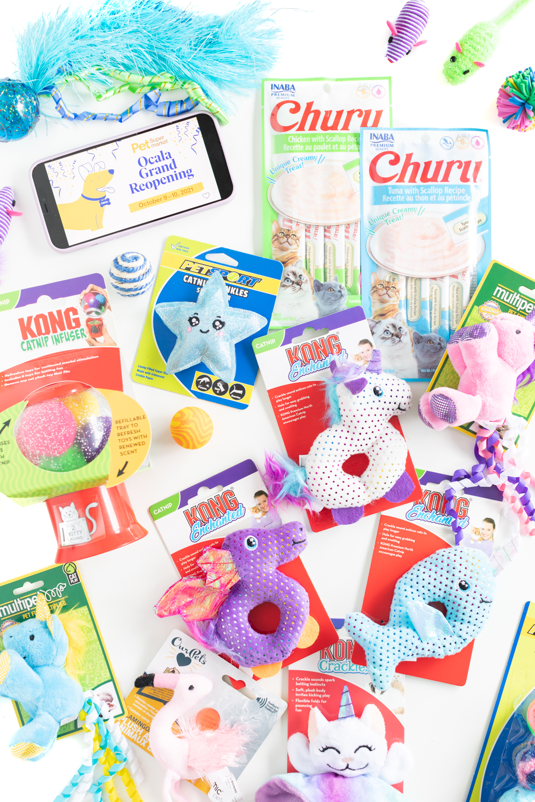 How to Make a Surprise Box for Cats