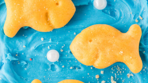 Ocean Graham Cracker Snacks | Cutefetti