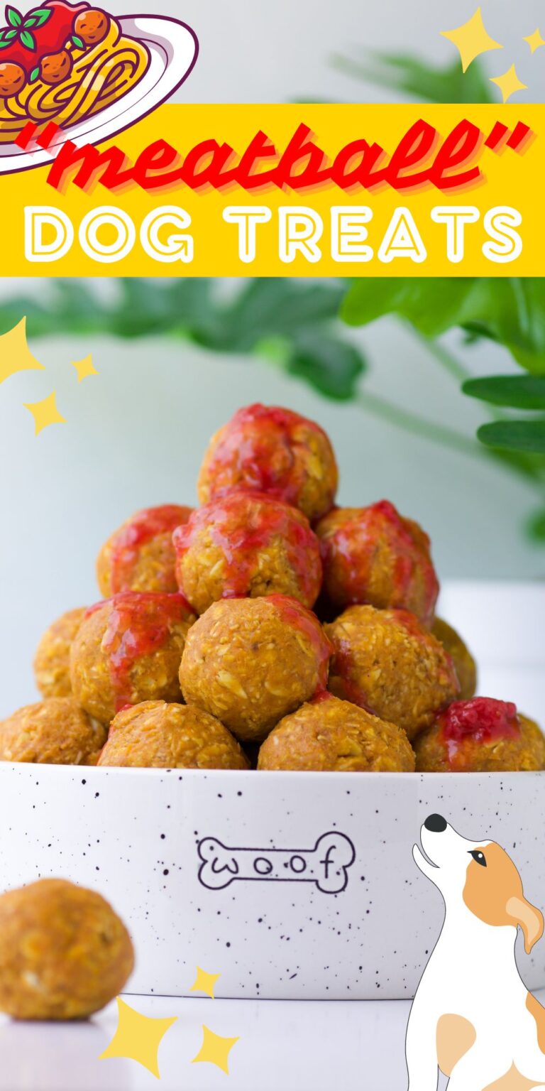 Celebrate Arthur The King Movie with "Meatball" Doggy Snacks Recipe