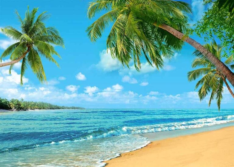 This is How To Host an Epic Beach Themed Party