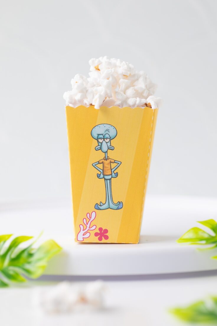DIVE into the fun with SpongeBob Character Popcorn Boxes