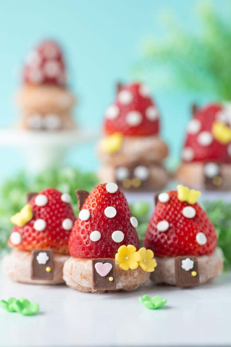 Strawberry Village Donuts - Cutefetti