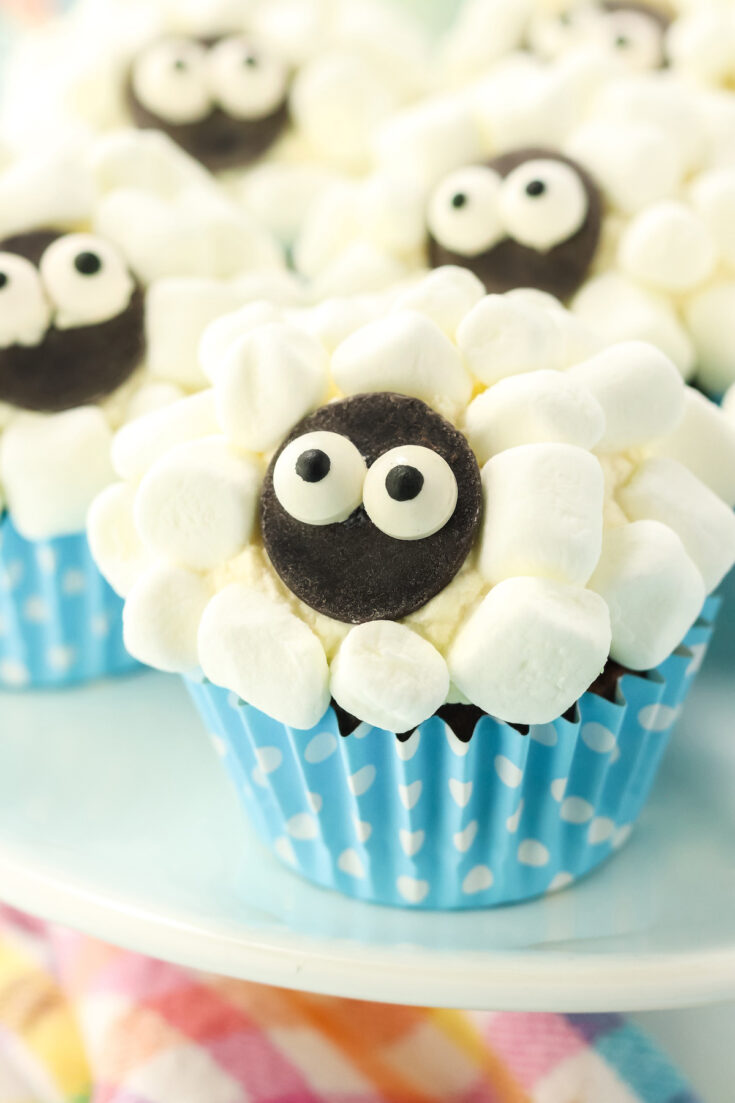 How to Make Adorable Sheep Cupcakes this Spring | Cutefetti