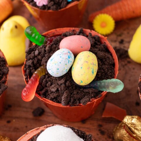 How to Make The Cutest Flower Pot Cupcakes | Cutefetti
